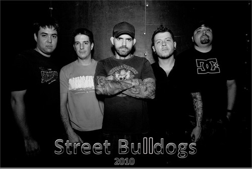Banda paulista Street Bulldogs lança teaser de seu aguardado DVD ...